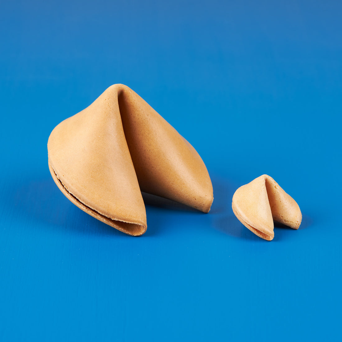 Custom Fortune Cookies – TastyFortunes